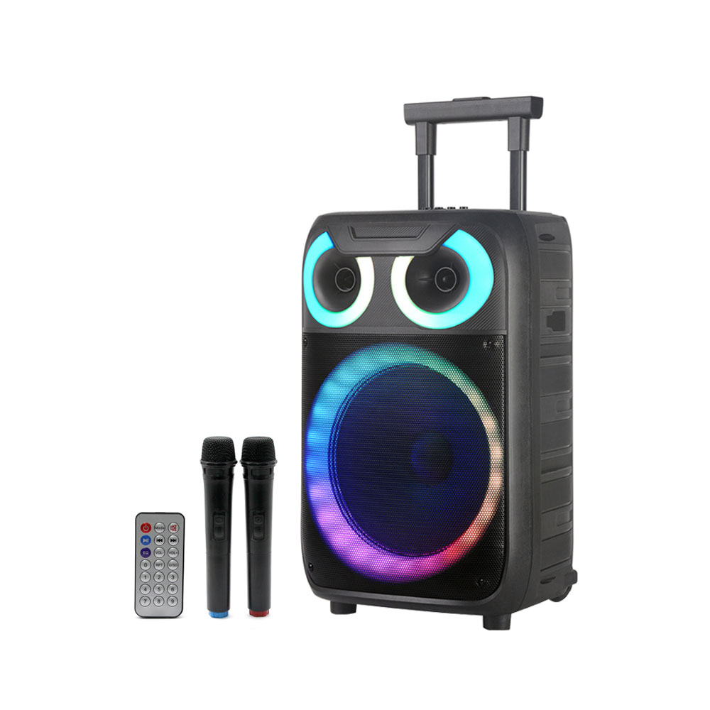 Portable Speaker | Amplifier | 15" | USB & Bluetooth & Radio | NDR-C15 | Electronics Katrangi ...