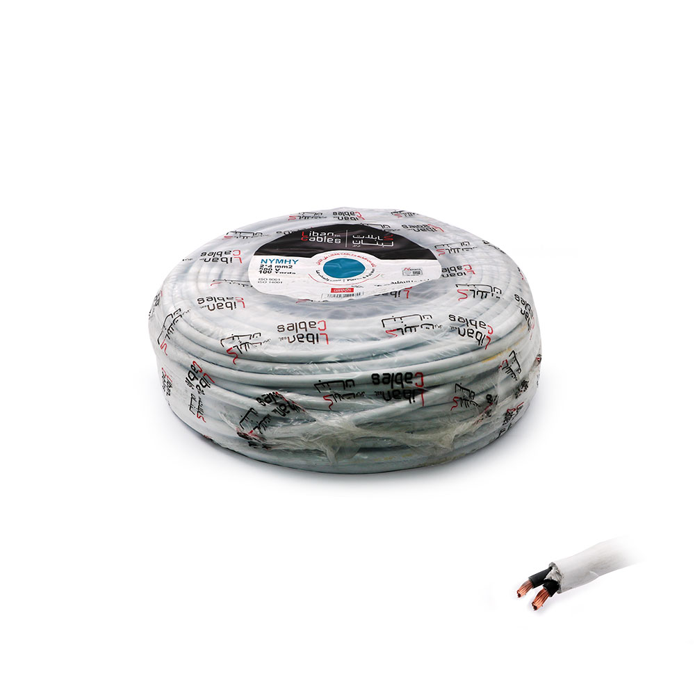 Insulated Wire Cable | 2x4.00mm | 91M | White | Liban Cables ...